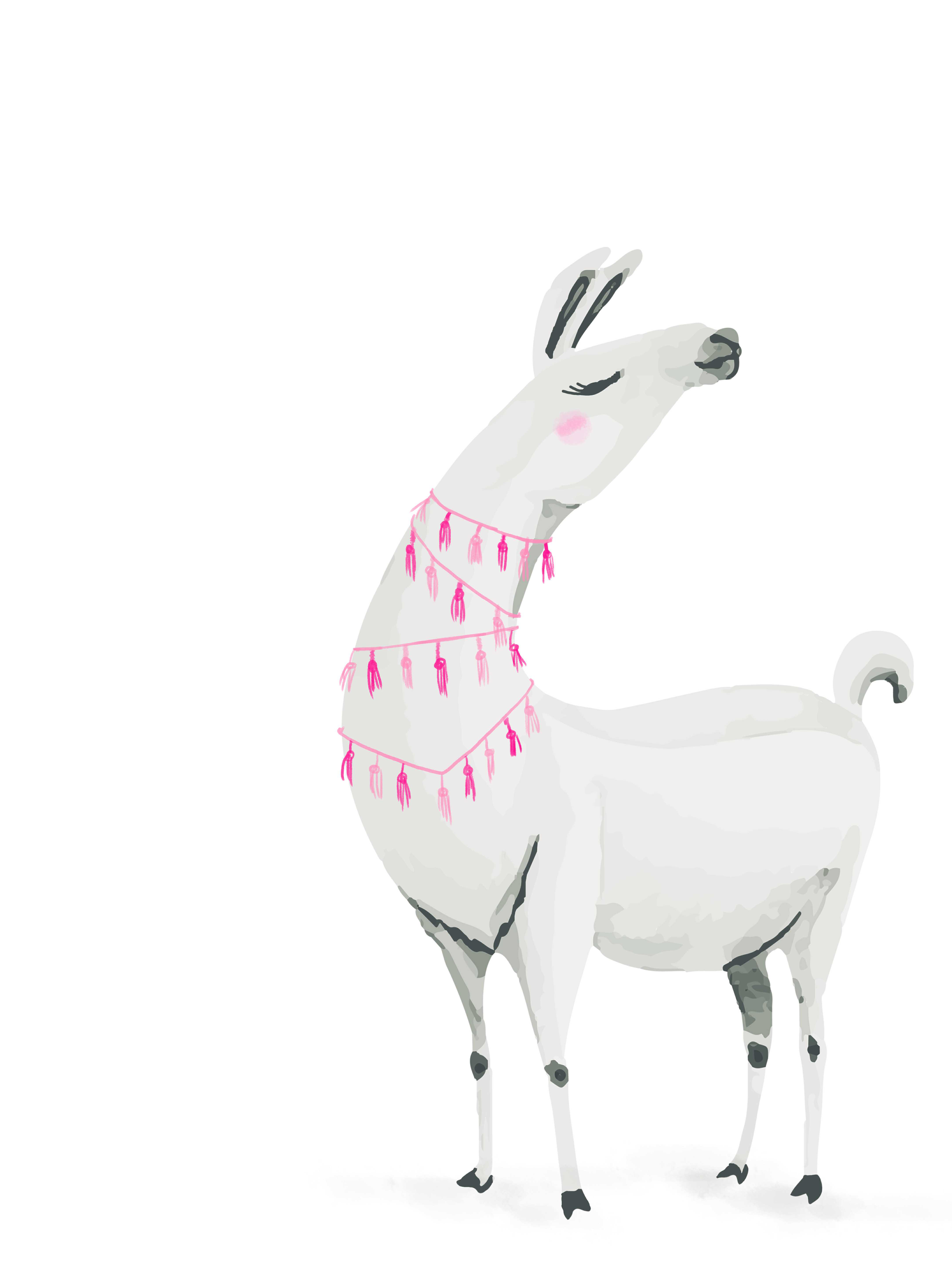 Bungalow Rose Sassy Llama | Wayfair